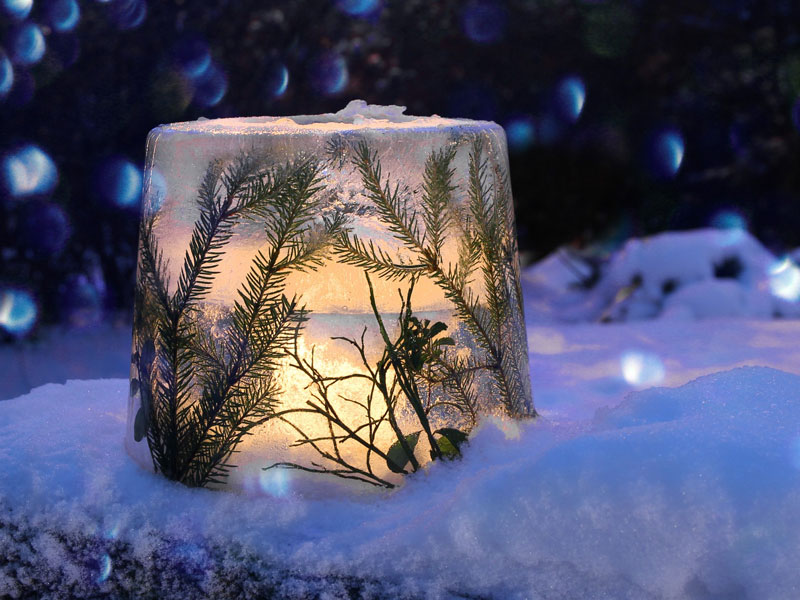 Julpynt med blommor och grönt - 8 enkla tips | Wexthuset