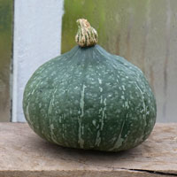 Tips för odling, skörd och lagring av pumpa, squas... | Wexthuset