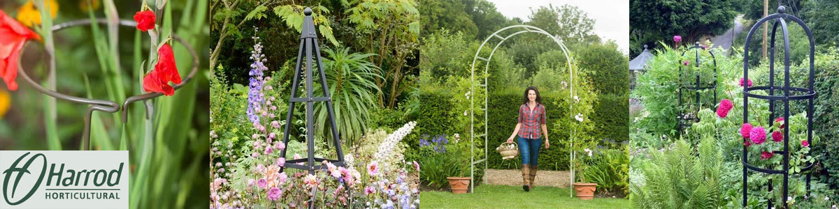 Växtportal, rosenbåge Ogee Arch, 2cm, svart | Wexthuset