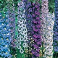 Inga From Sweden | A Glass of Bubbly