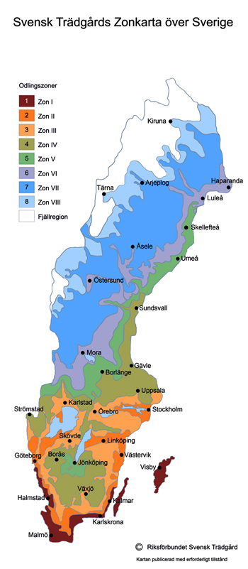 Växtzoner i Sverige | Wexthuset