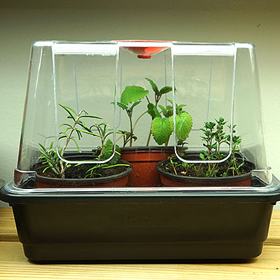 Miniväxthus - minidrivhus för odling inomhus | Wexthuset