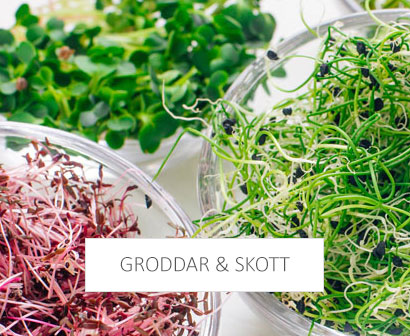 Kvalitetsprodukter för odling & trädgård online | Wexthuset