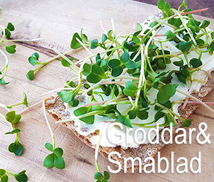 Kvalitetsprodukter för odling och trädgård | Wexthuset