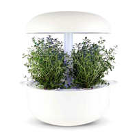 Timjan - Odling, fakta sorter och användning | Wexthuset