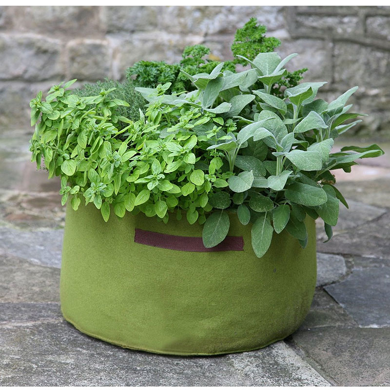 Underbevattningsbricka för odling i jordsäck | Wexthuset