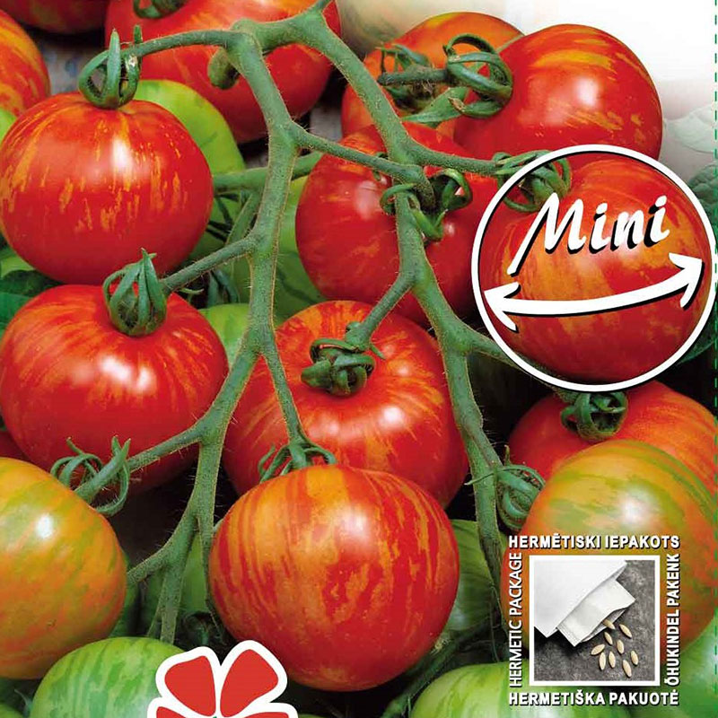 Frö till tomat, Solanum lycopersicum L. 'Duo' | Wexthuset