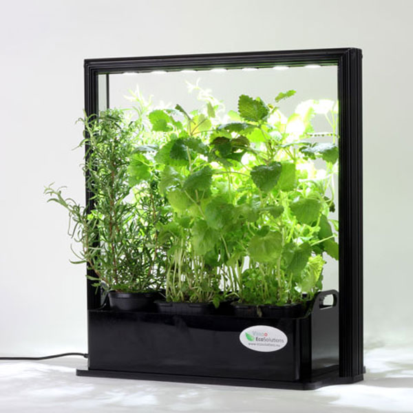 Hydrokultur och vattenodling | Wexthuset