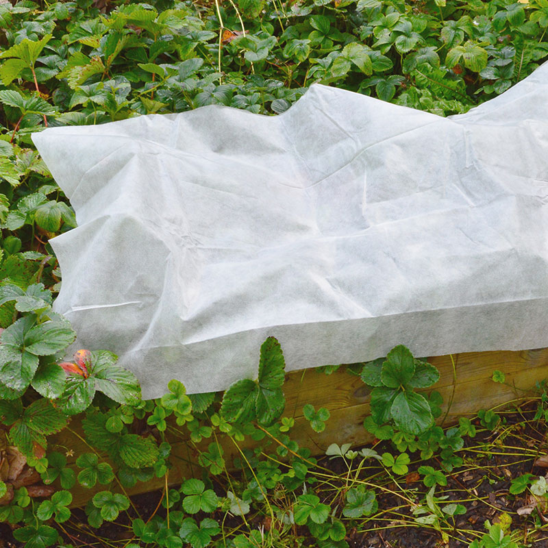 Kraftig fiberduk - 3,2 x 10 m (30g/m²) | Wexthuset