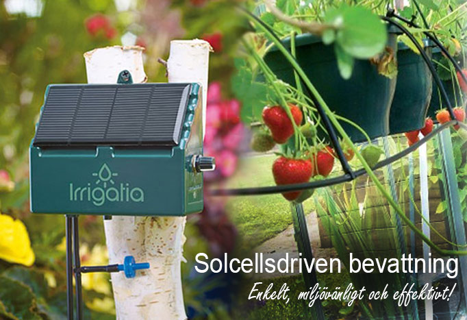 Kvalitetsprodukter för odling och trädgård | Wexthuset