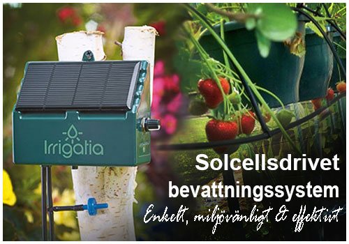 Allt för din trädgård hos Wexthuset.com | Wexthuset